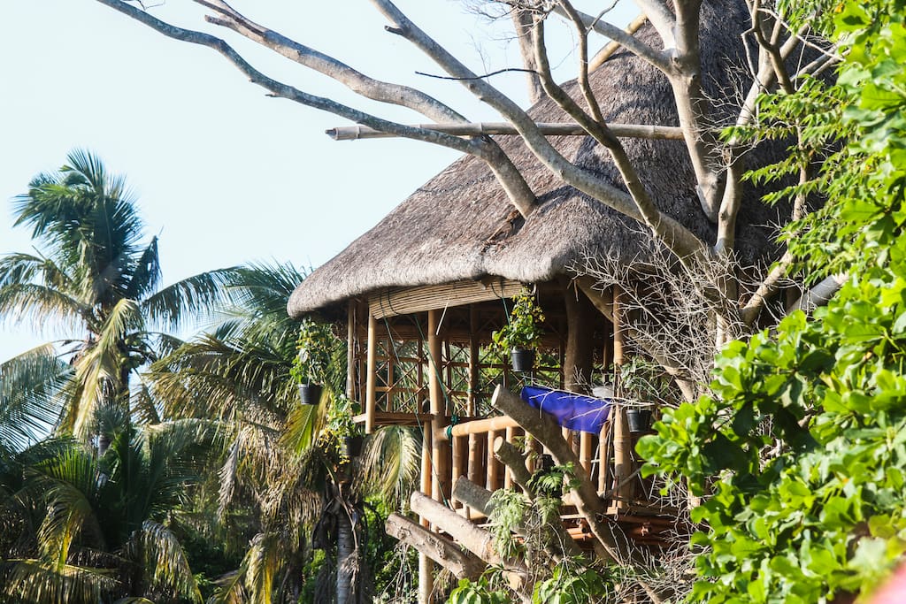 Treehouse by Taal Lake (Kapusod) - Houses for Rent in Mataasnakahoy ...