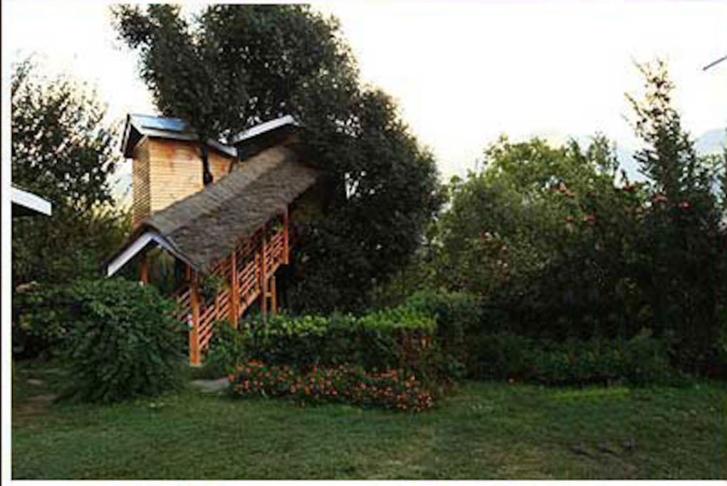 Beautiful treehouse in Manali - Treehouses for Rent in Katrain