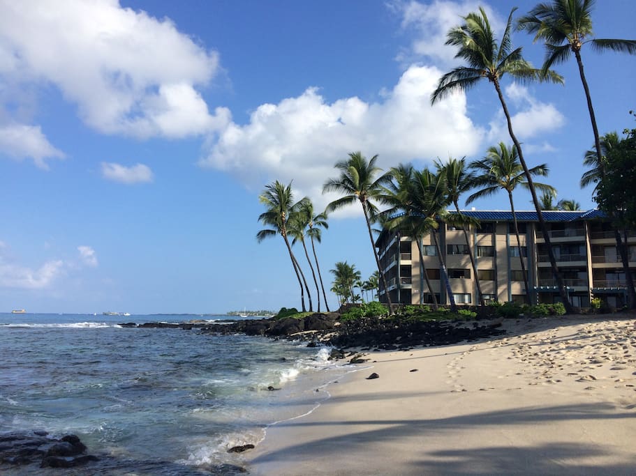 Oceanfront/View Kona Reef Condo B5 - Apartments for Rent in Kailua-Kona