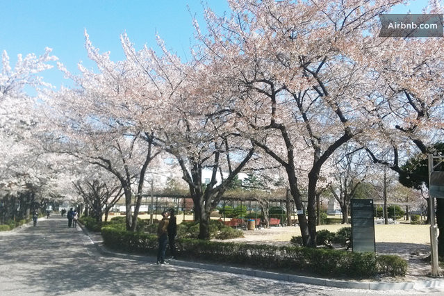 Todaki Korean Traditional House in Jongno-gu